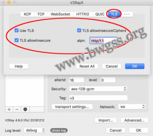 2025最新macOS V2RayX客户端超细配置教程｜Apple Silicon原生优化+节点订阅+路由分流