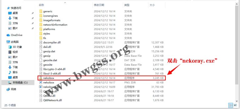 NekoRay 详细图文使用教程：从下载安装到节点订阅配置 | Windows & Linux 客户端