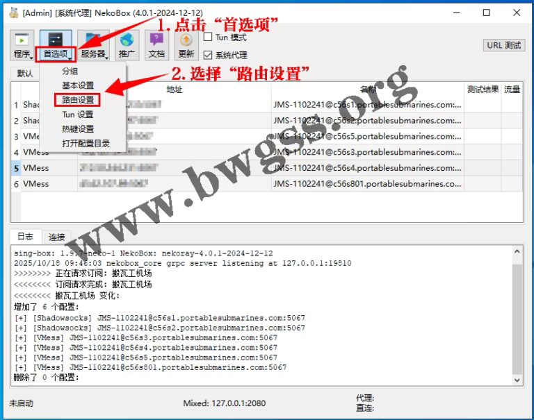 NekoRay 详细图文使用教程：从下载安装到节点订阅配置 | Windows & Linux 客户端