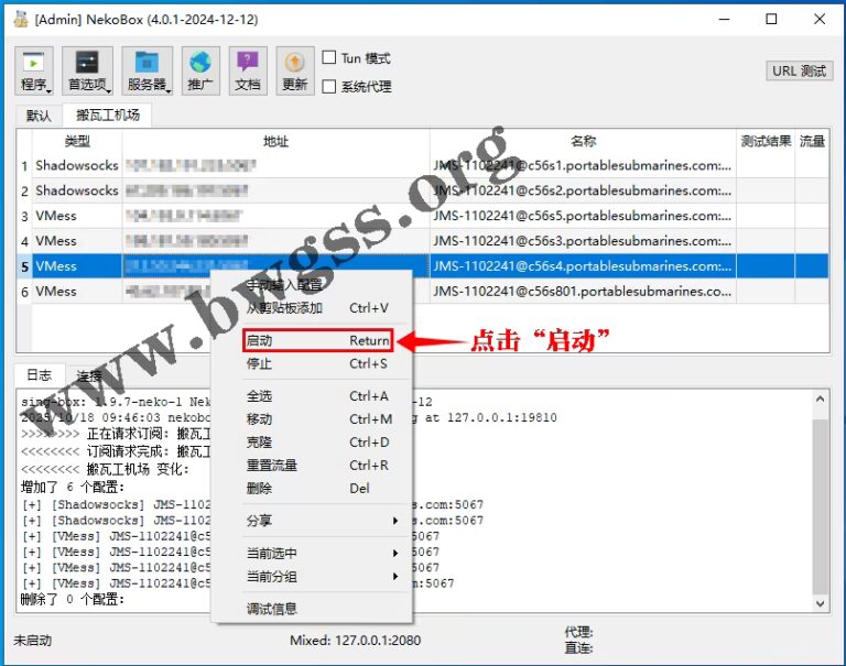 NekoRay 详细图文使用教程：从下载安装到节点订阅配置 | Windows & Linux 客户端