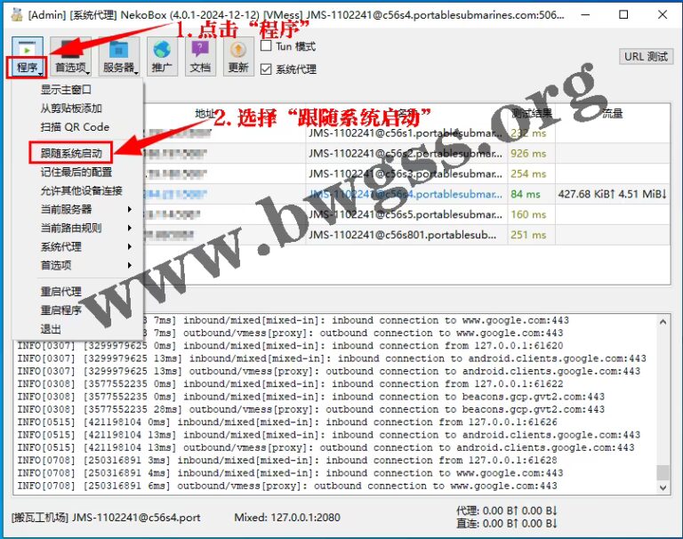 NekoRay 详细图文使用教程：从下载安装到节点订阅配置 | Windows & Linux 客户端