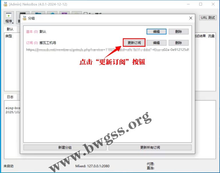 NekoRay 详细图文使用教程：从下载安装到节点订阅配置 | Windows & Linux 客户端