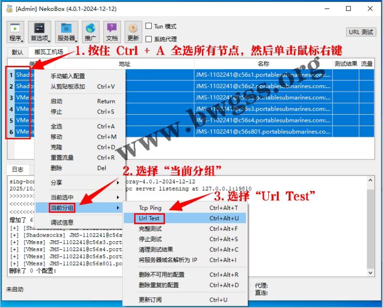 NekoRay 详细图文使用教程：从下载安装到节点订阅配置 | Windows & Linux 客户端